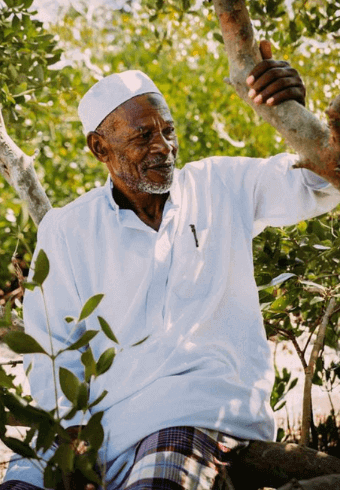 Kilwa Kisiwani: The Forgotten Swahili Empire Of East Africa